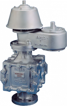 5810B / 5820B Relief Valve and Flame Arrester – Varec Biogas Inc, an ...